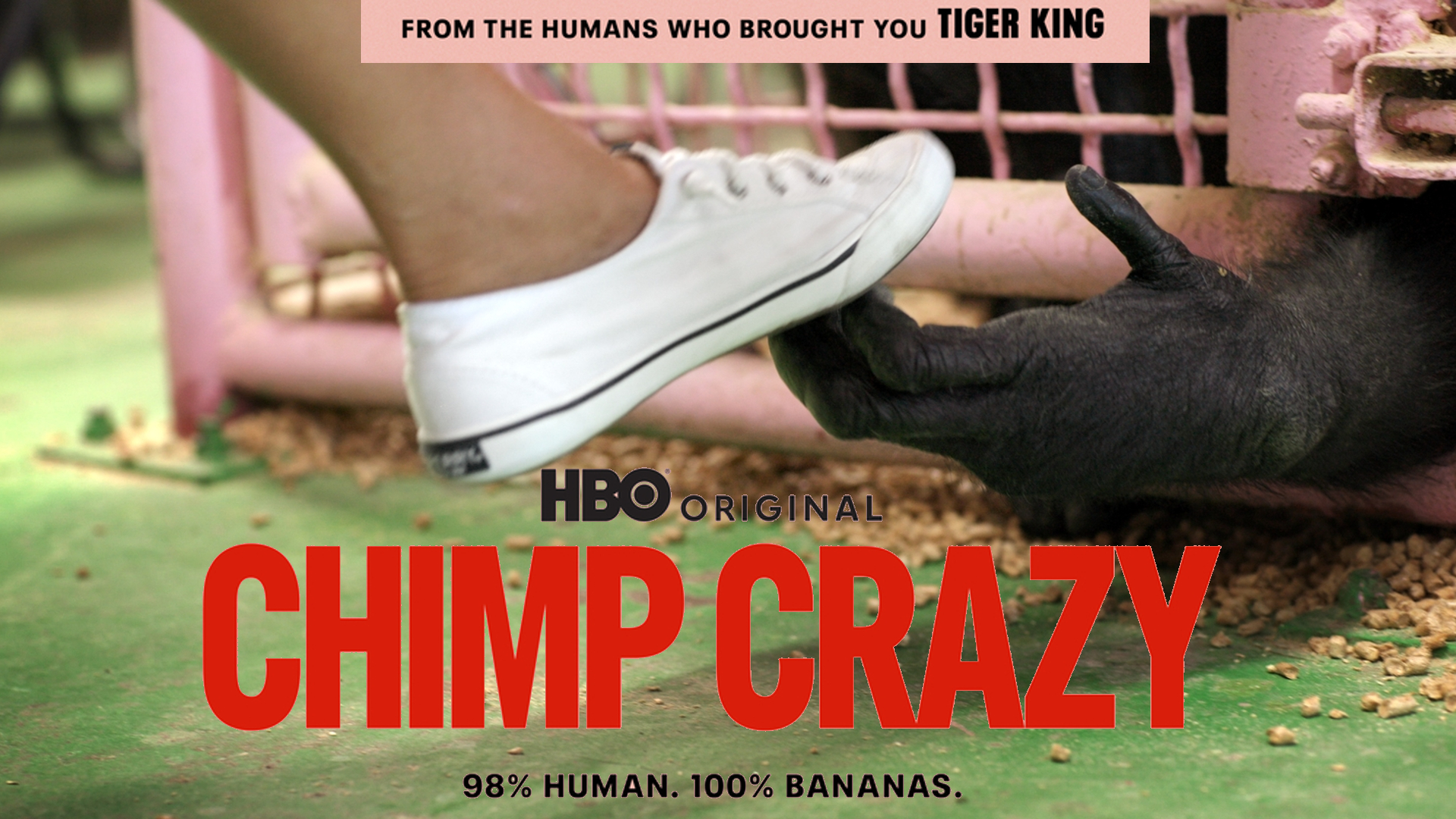 Cosmo's Crazy 'Chimp Crazy' Connection! | Y107